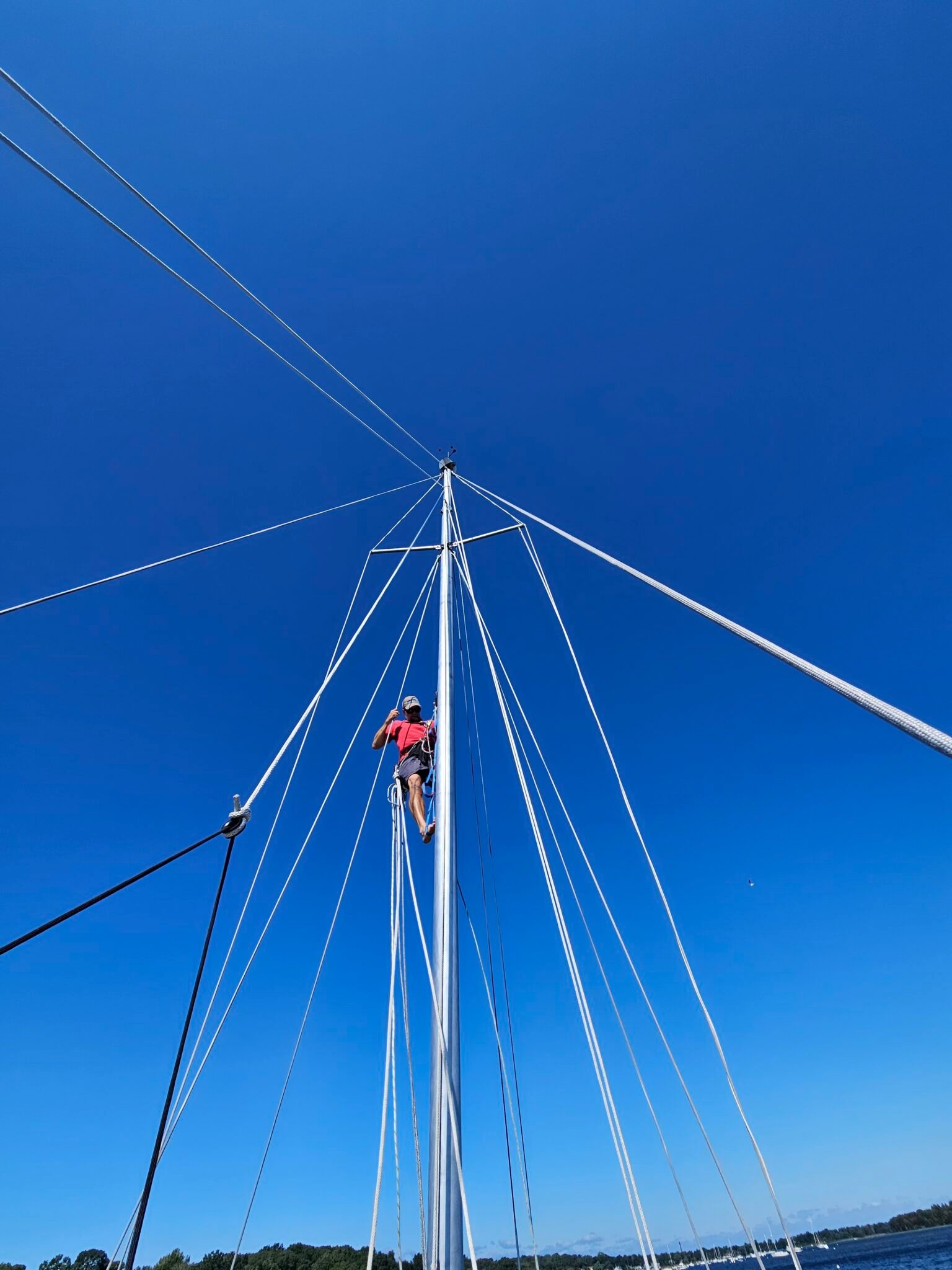 Zartman Rigging - Zartman Cruising